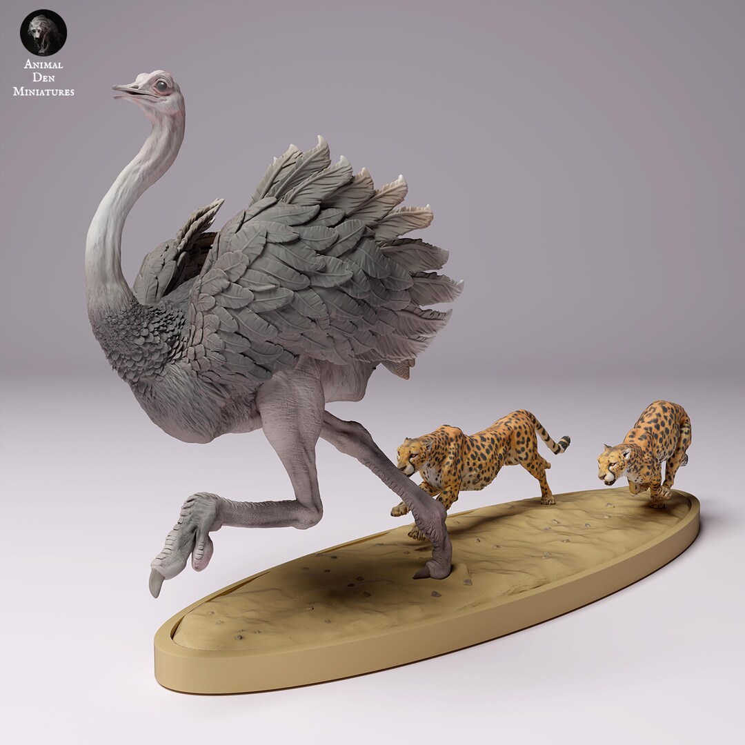 North African Ostrich & Cheetahs 1/24 Scale Realistic Animal Model 3D ...