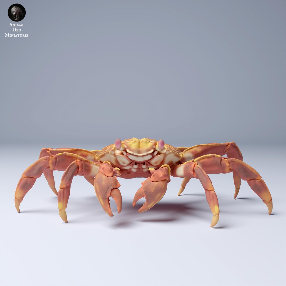 Sally Lightfoot Crab 1/4 Scale Realistic Animal Model | Decorative ...