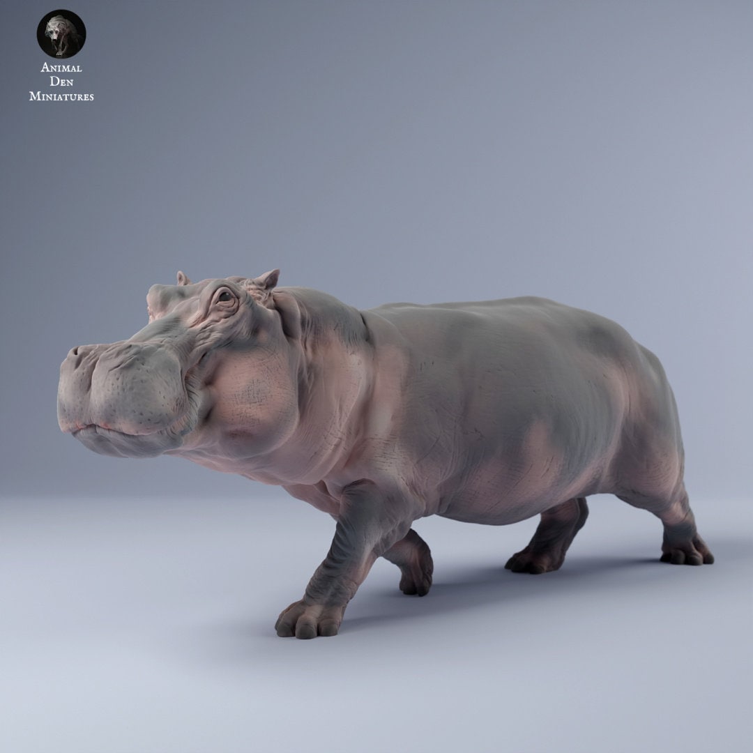Hippo 1/24 Scale Realistic Animal Model 3D Printed | Decorative Display ...