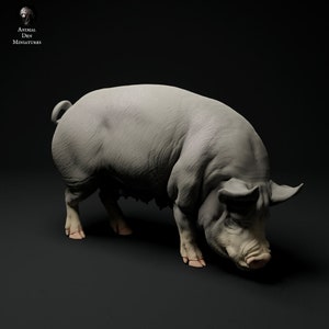 Berkshire Pig 1/24 Scale Realistic Animal Model 3D Printed | Decorative ...