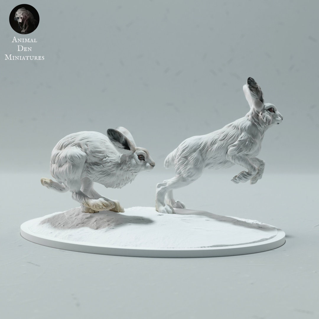 Arctic Hares 1/16 Scale Realistic Animal Model 3D Printed | Decorative ...