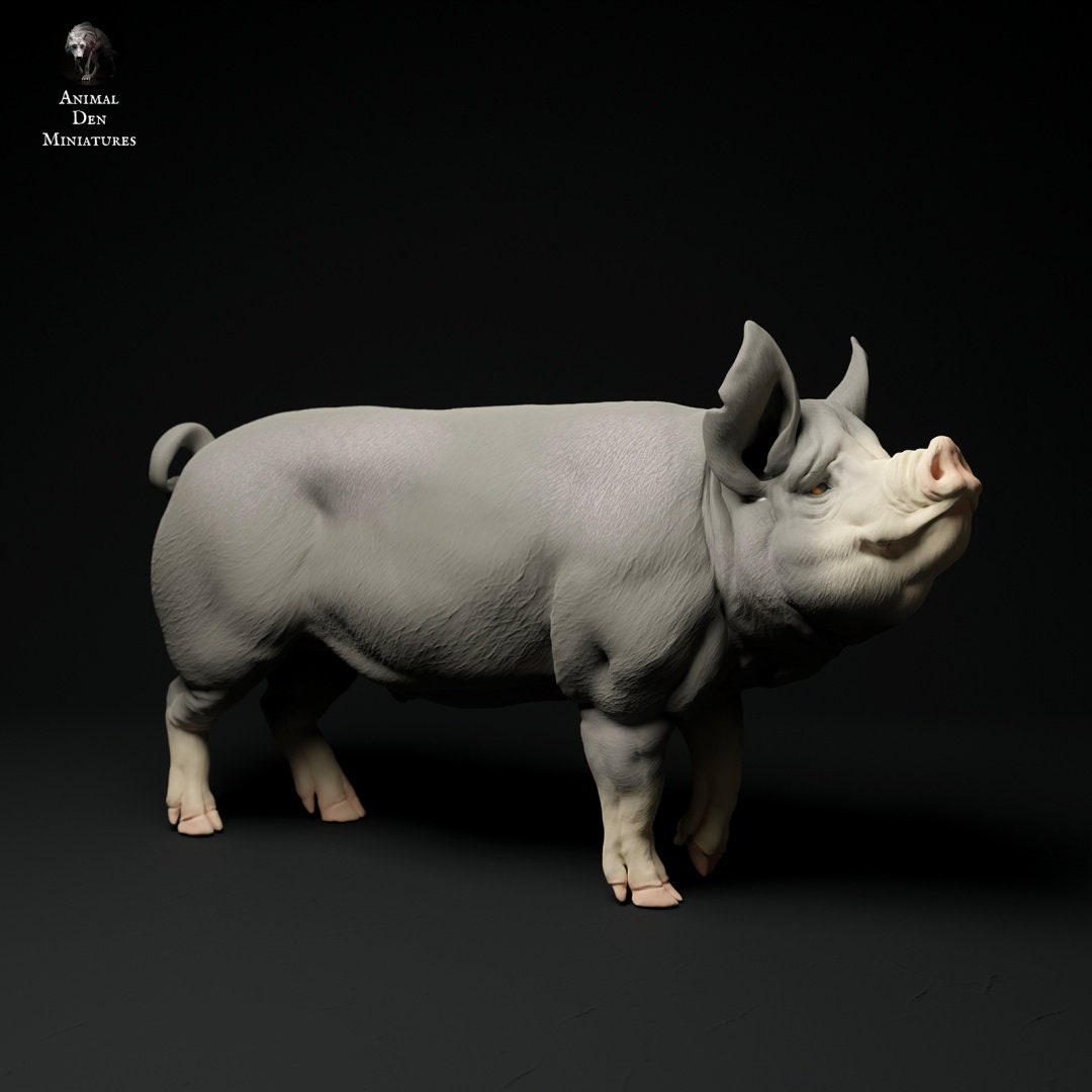 Berkshire Pig 1/24 Scale Realistic Animal Model 3D Printed | Decorative ...