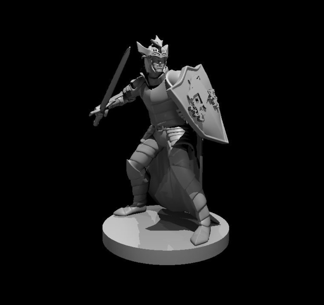 Human Bahamut Paladin Miniature for Table Top Games : Resin 3D Printed ...