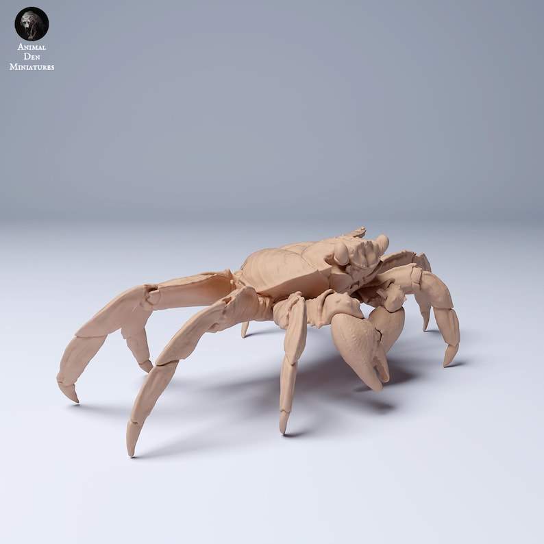 Sally Lightfoot Crab 1/4 Scale Realistic Animal Model | Decorative ...