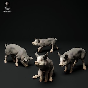 Berkshire Pig 1/24 Scale Realistic Animal Model 3D Printed | Decorative ...
