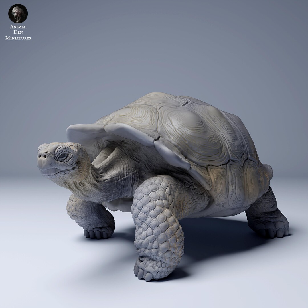 Galápagos Giant Tortoise 1/16 Scale Realistic Animal Model 3D Printed ...