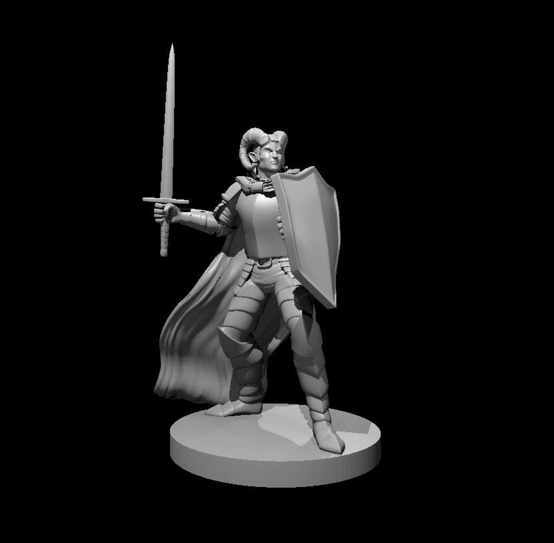 Tiefling Paladin 1 Miniature for Table Top Games : Resin 3D Printed ...