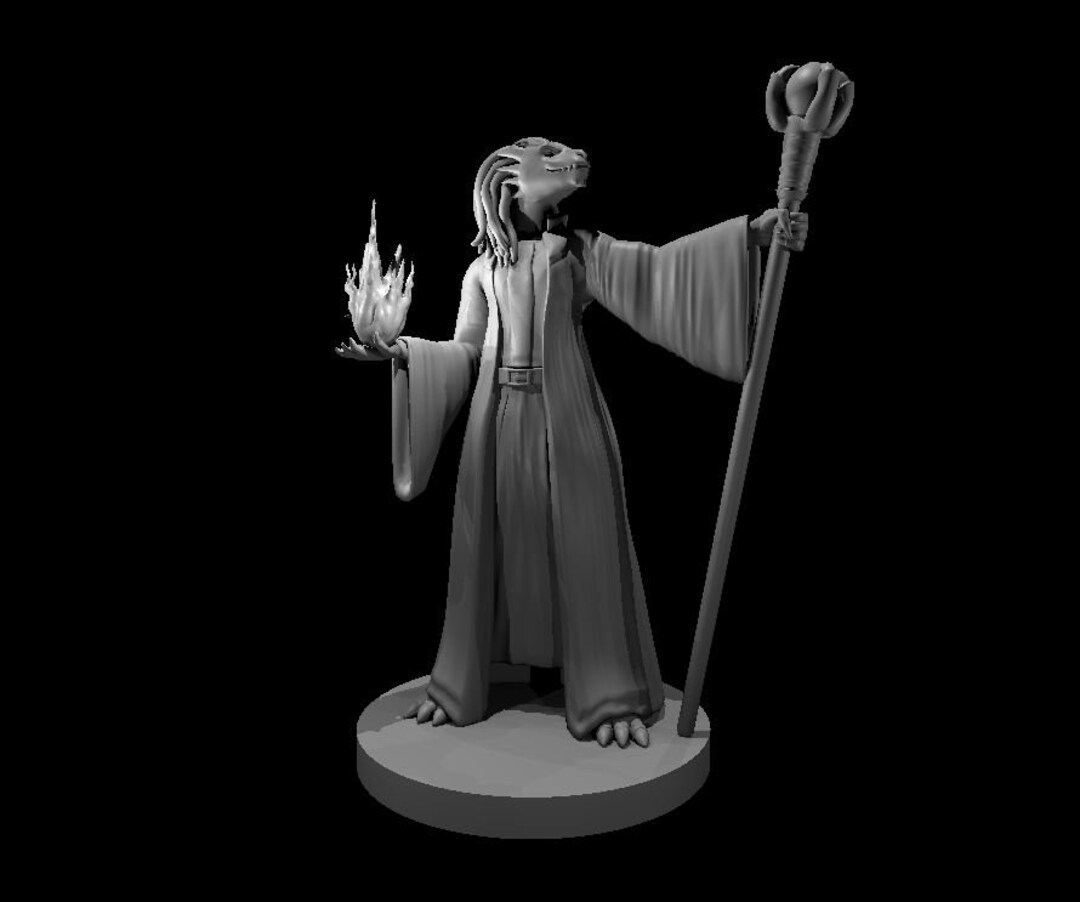 Dragonborn Sorcerer Miniature for Table Top Games : Resin 3D Printed ...