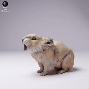 American Pika 1/2 Scale Realistic Animal Model 3D Printed | Decorative ...