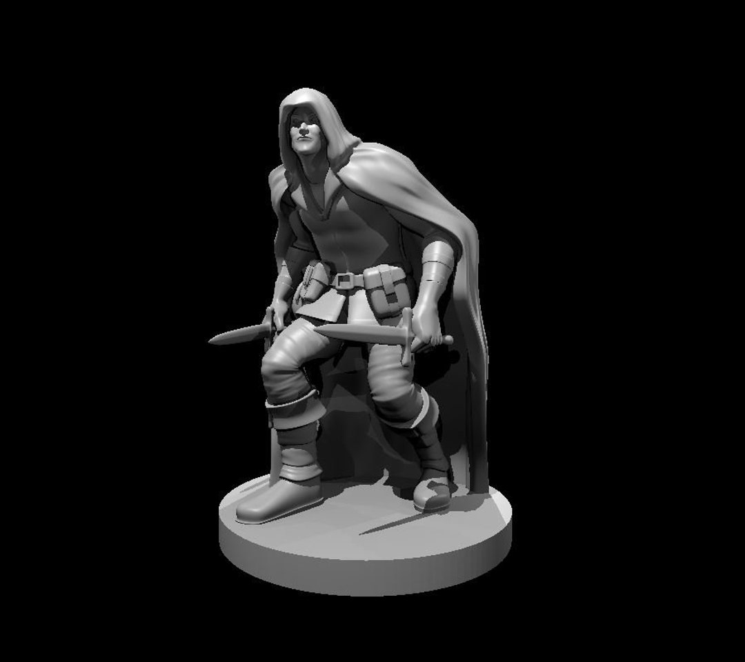 Human Rogue Miniature for Table Top Games : Resin 3D Printed Model - Etsy