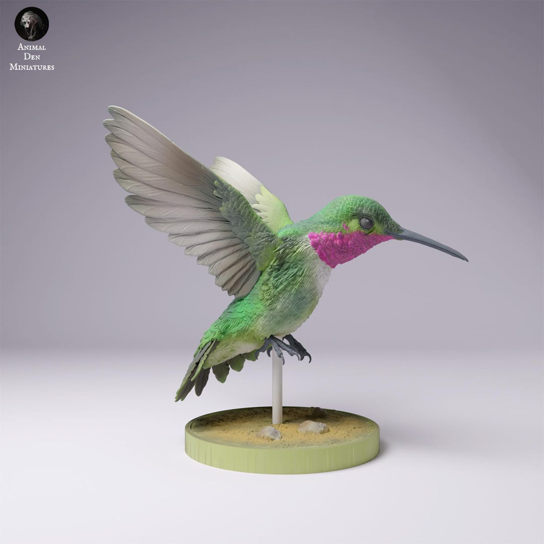 Broad-tailed Hummingbird 1/1 Scale Realistic Animal Model 3D Printed ...