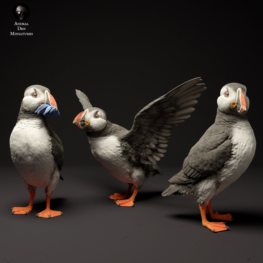 Atlantic Puffins 1/8 Scale Realistic Animal Model 3D Printed ...