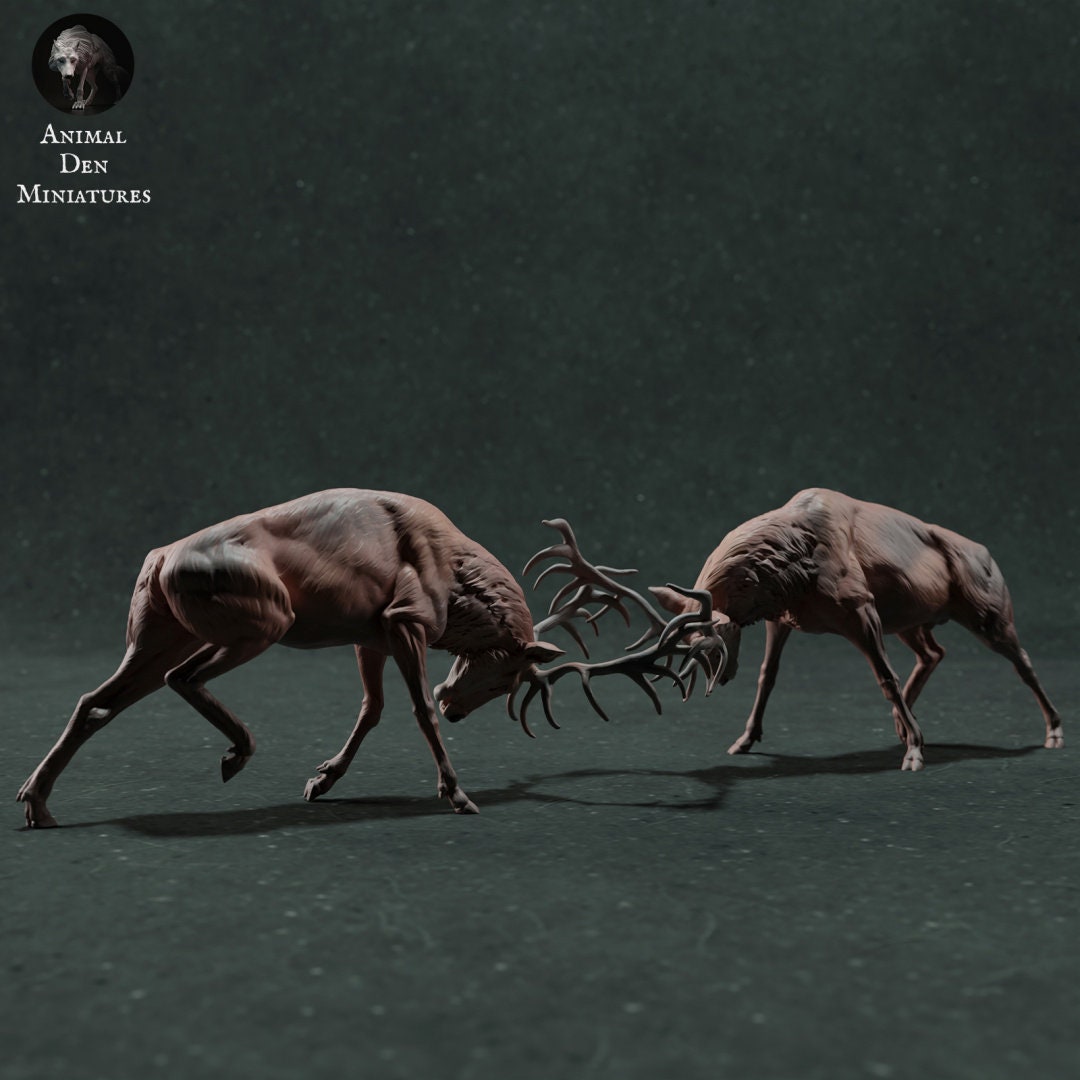 Red Deer Fighting 1/24 Scale Realistic Animal Model 3D Printed ...