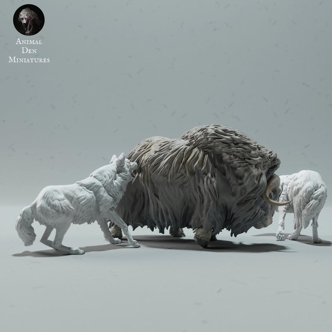 Arctic Wolves Hunting Muskox 1/32 Scale Realistic Animal Model 3D ...