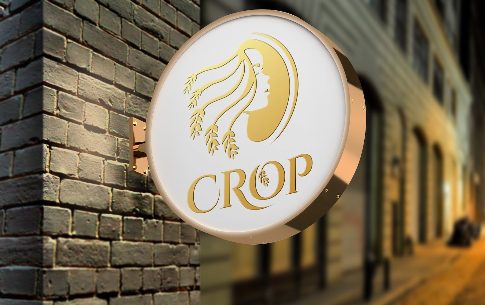 Premium Custom Illuminated Storefront Sign Blade Sign Saloon - Etsy