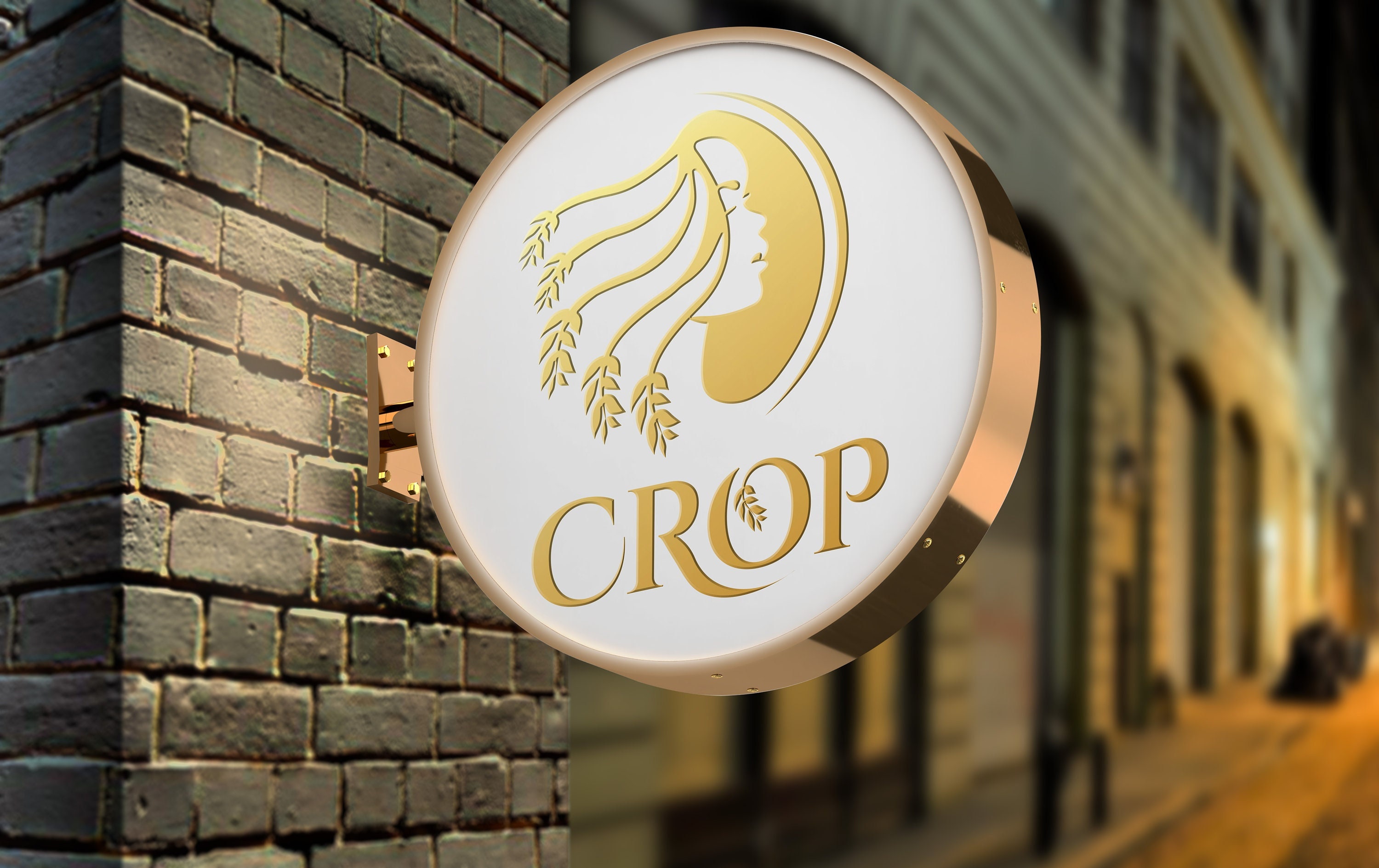 Premium Custom Illuminated Storefront Sign Blade Sign Saloon - Etsy