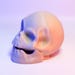 Skull Decoration Fun Halloween Decor Unique Skull Figurine Perfect for ...