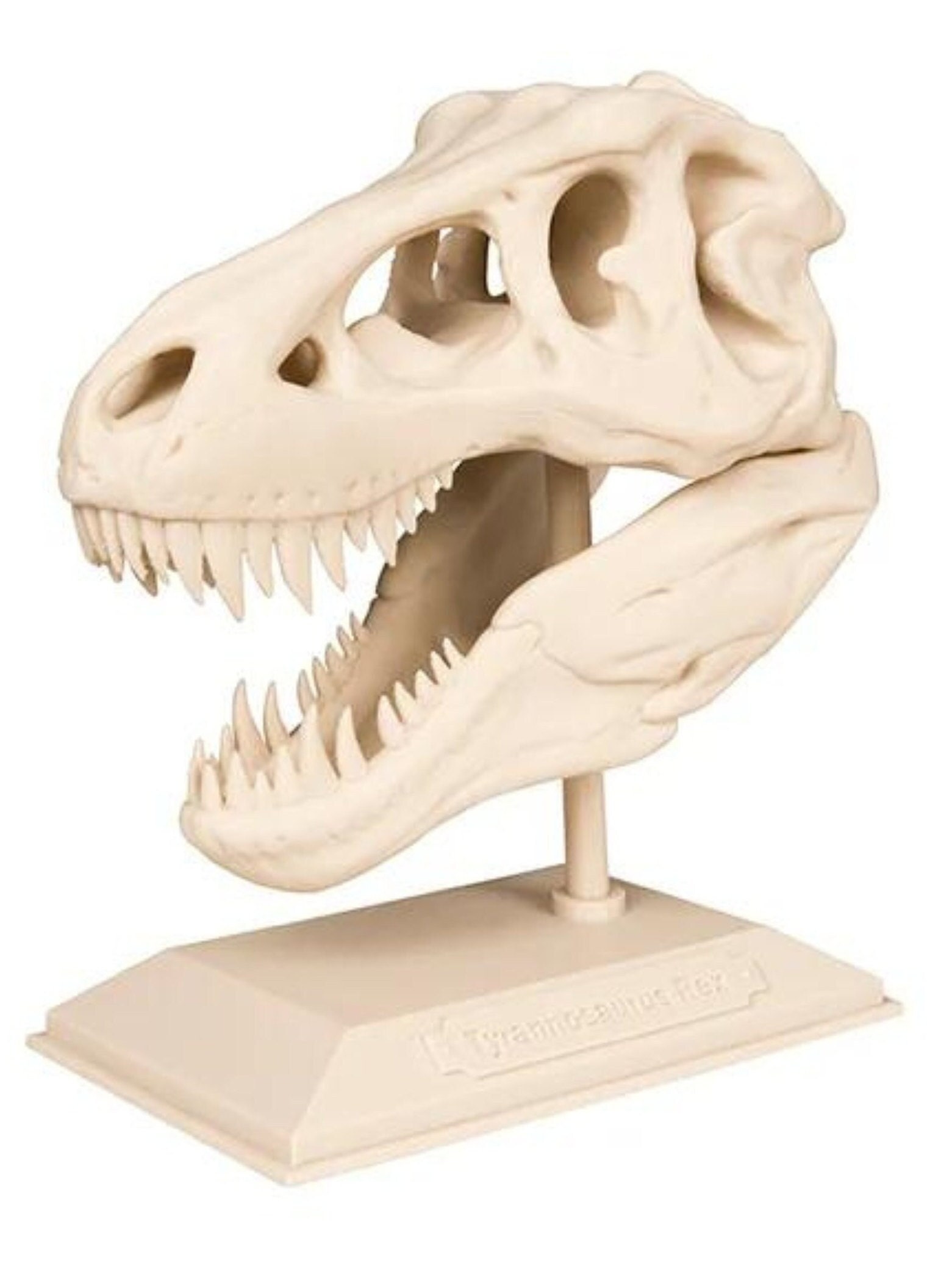 Digital Download of the T-rex Skull - Etsy