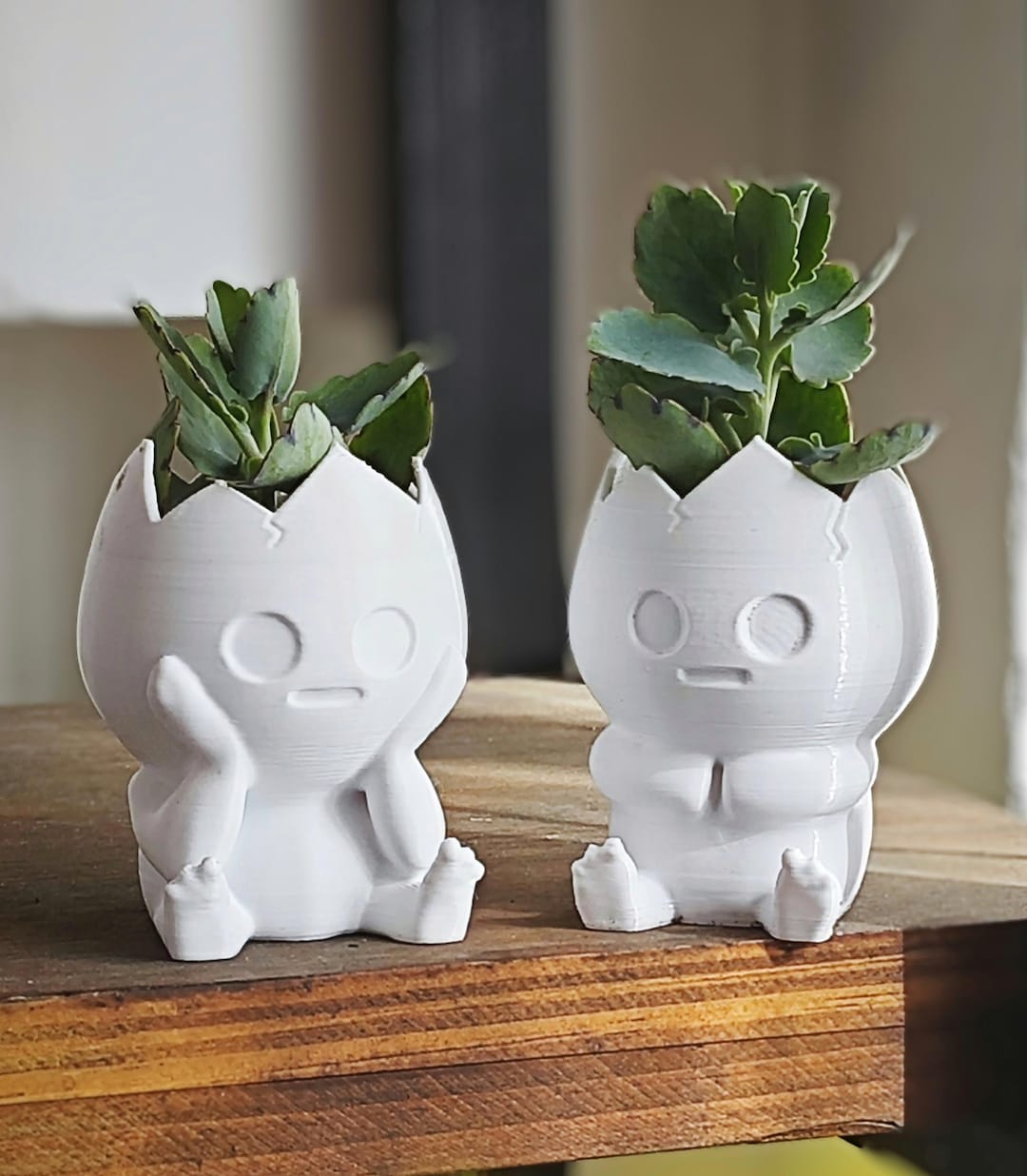 Egg Planter V1 Modern Decorative Planter Unique Egg-shaped Succulent ...