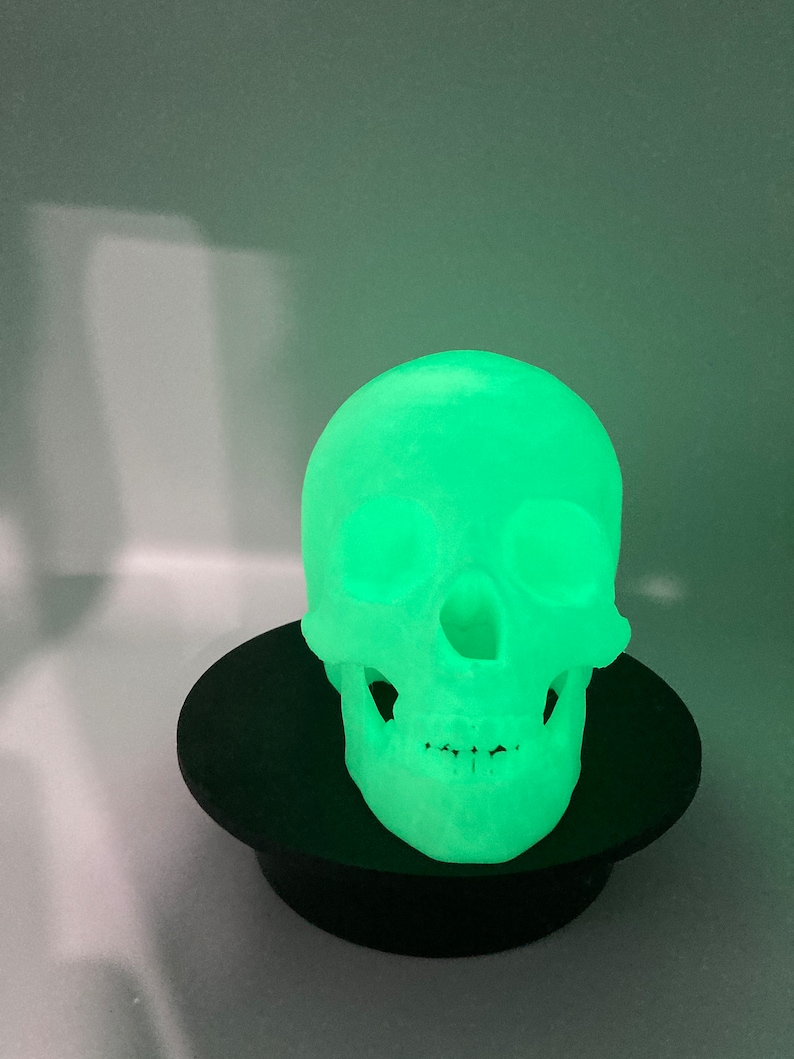 Glow in the Dark Skull - Etsy
