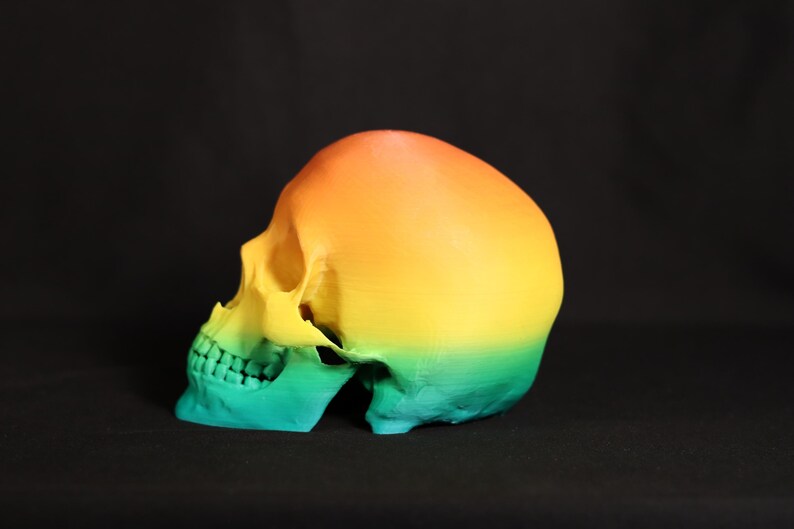 Gothic Skull Figurine: Detailed Model, Halloween Home Office Decor - Etsy