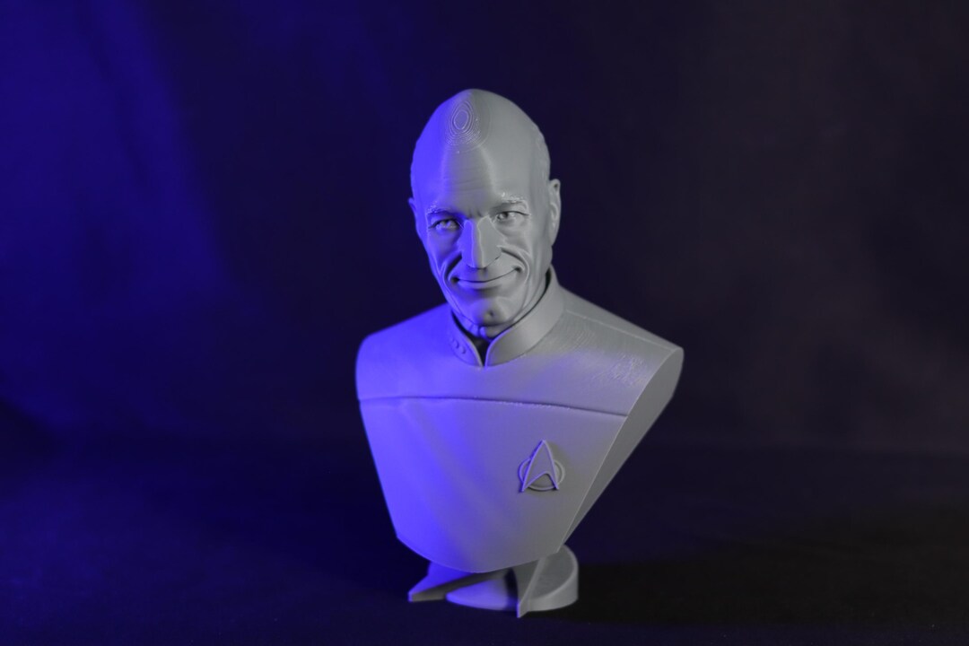 Captain Picard Bust: USS Enterprise, Star Trek Collectible Sci-fi Decor - Etsy