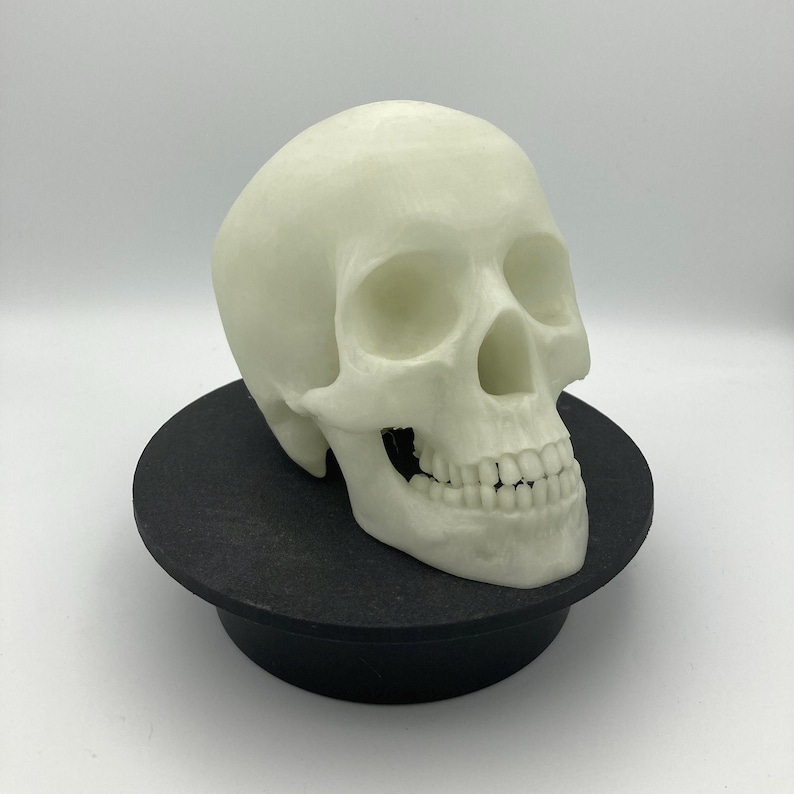 Gothic Skull Figurine: Detailed Model, Halloween Home Office Decor - Etsy