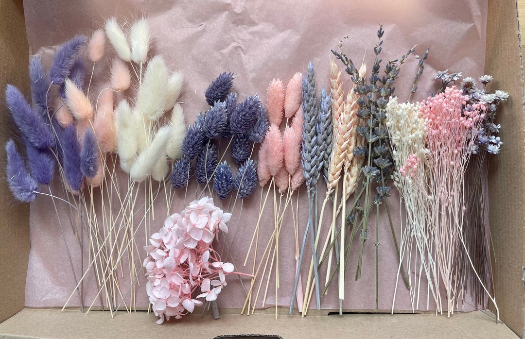 Dried Flower Mix, Dried Flower Confetti, Colorful, Plain, Starter Box ...