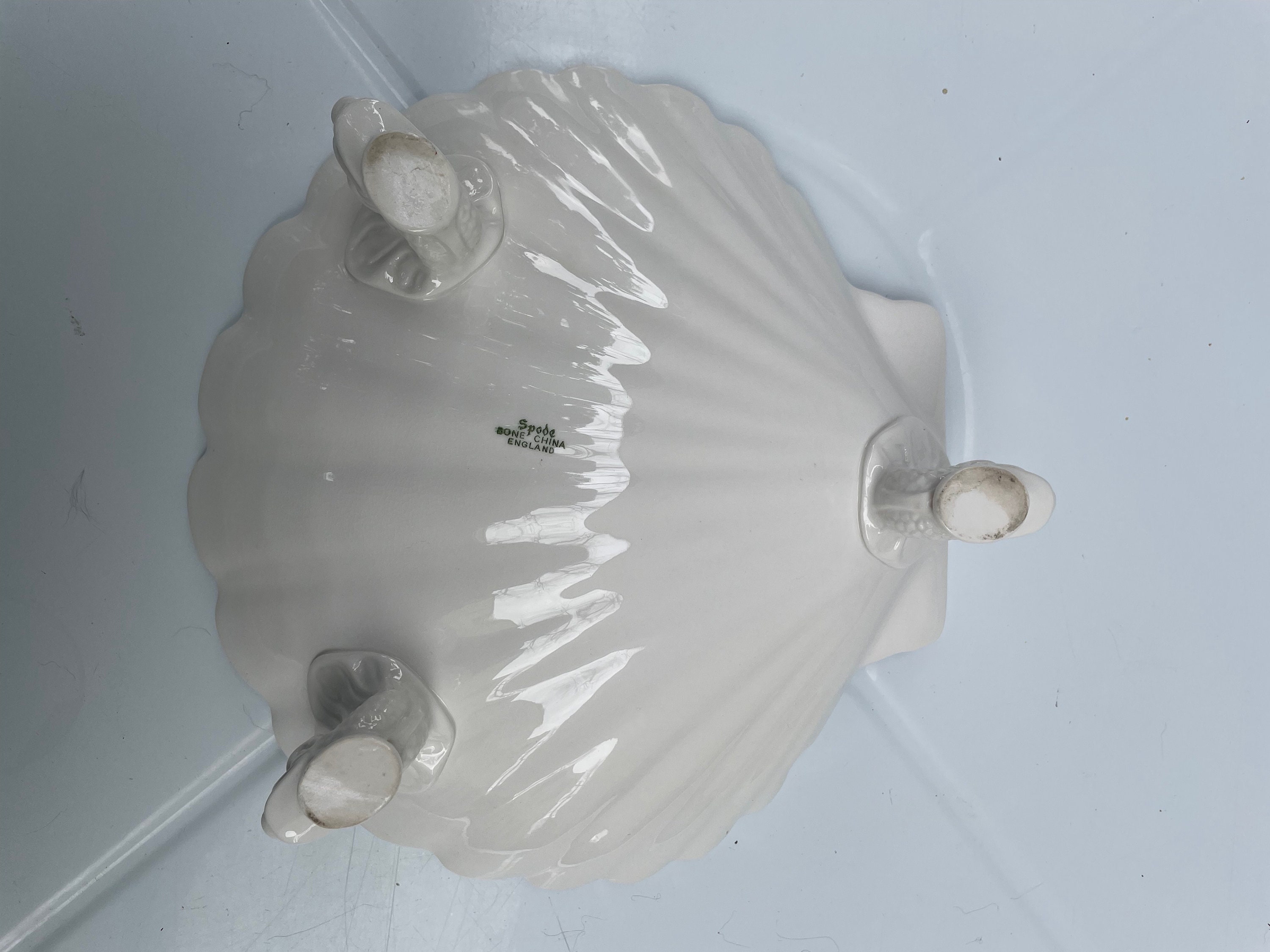 Spode Pedestal Shell Dish Sitting on 3 Dolphin Legs - Etsy