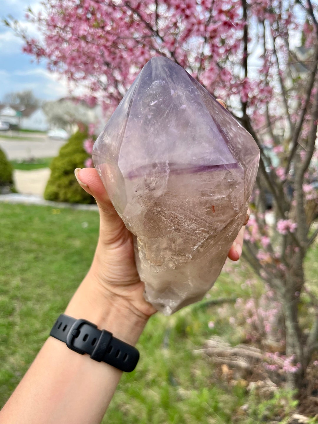 Light Amethyst Phantom Scepter Enhydro With Stand - Etsy