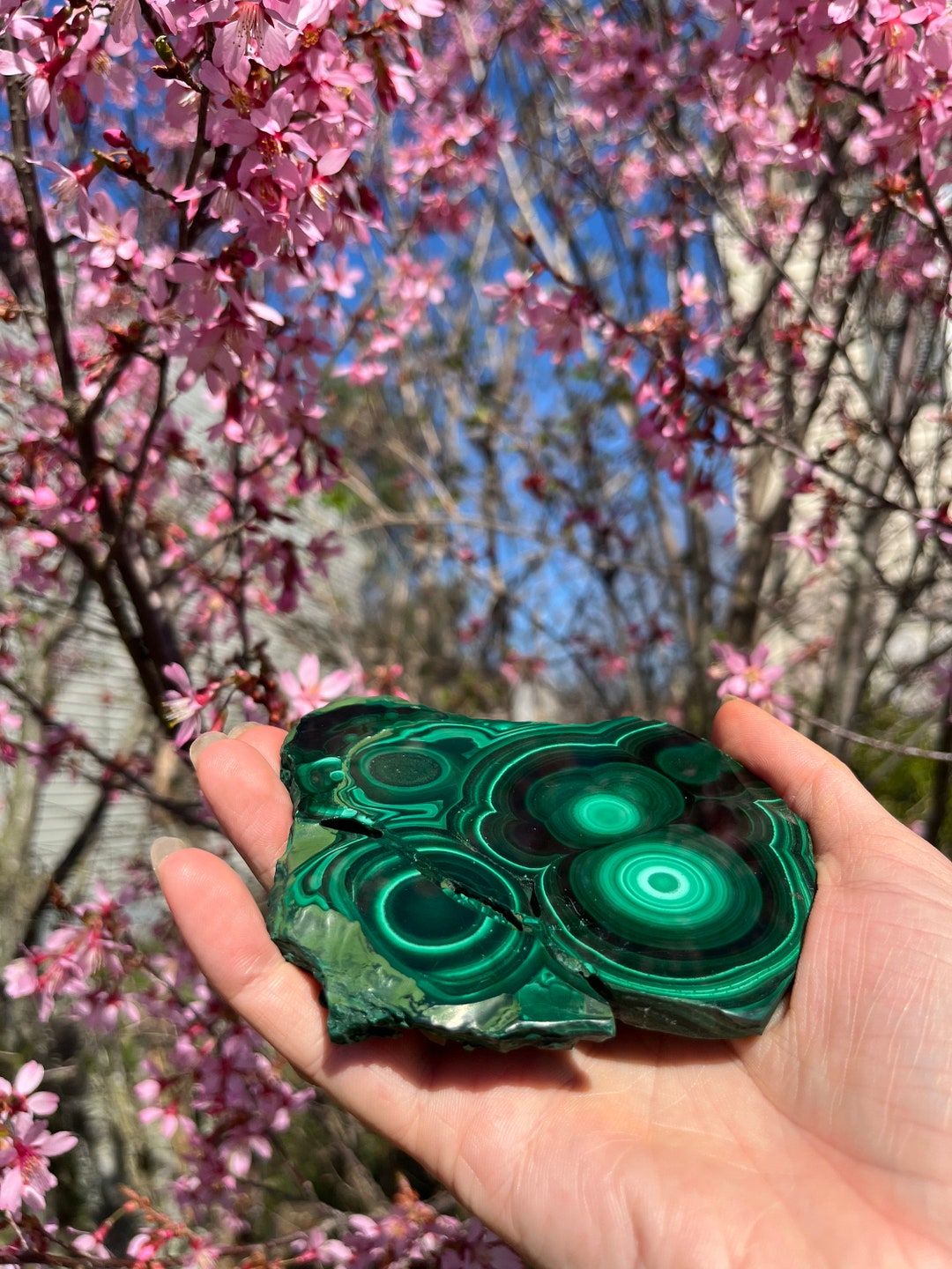 Malachite ‘eye’ Slab - Etsy