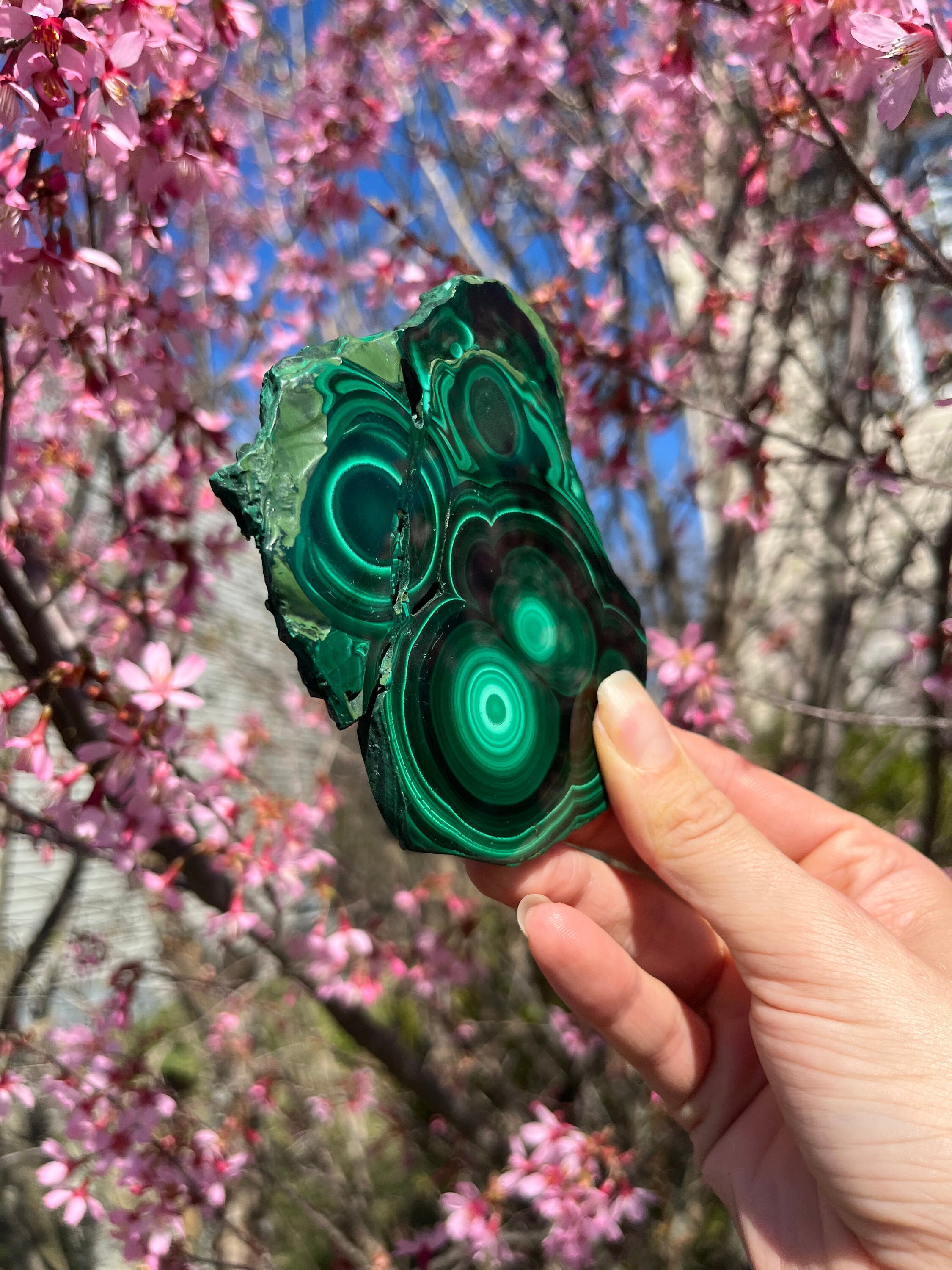 Malachite eye Slab - Etsy