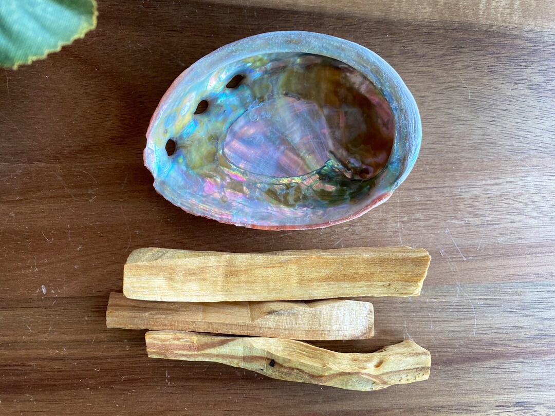 Abalone Shell With (5) 4” Palo Santo Sticks | Smudge Set - Etsy