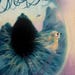 Eye Art Original Painting Surrealism Dream Painting Oil Painting on ...