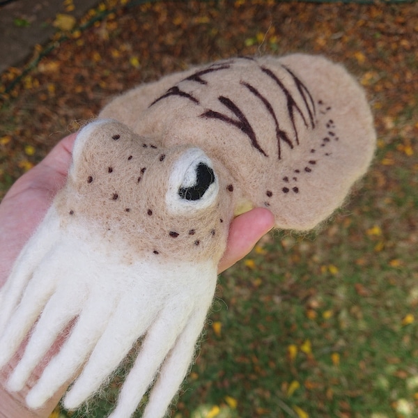 Cuttlefish - Etsy