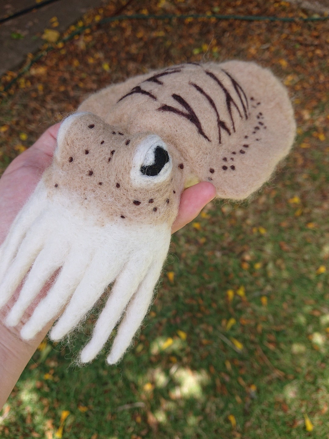 Felted Wool Cuttlefish - Etsy