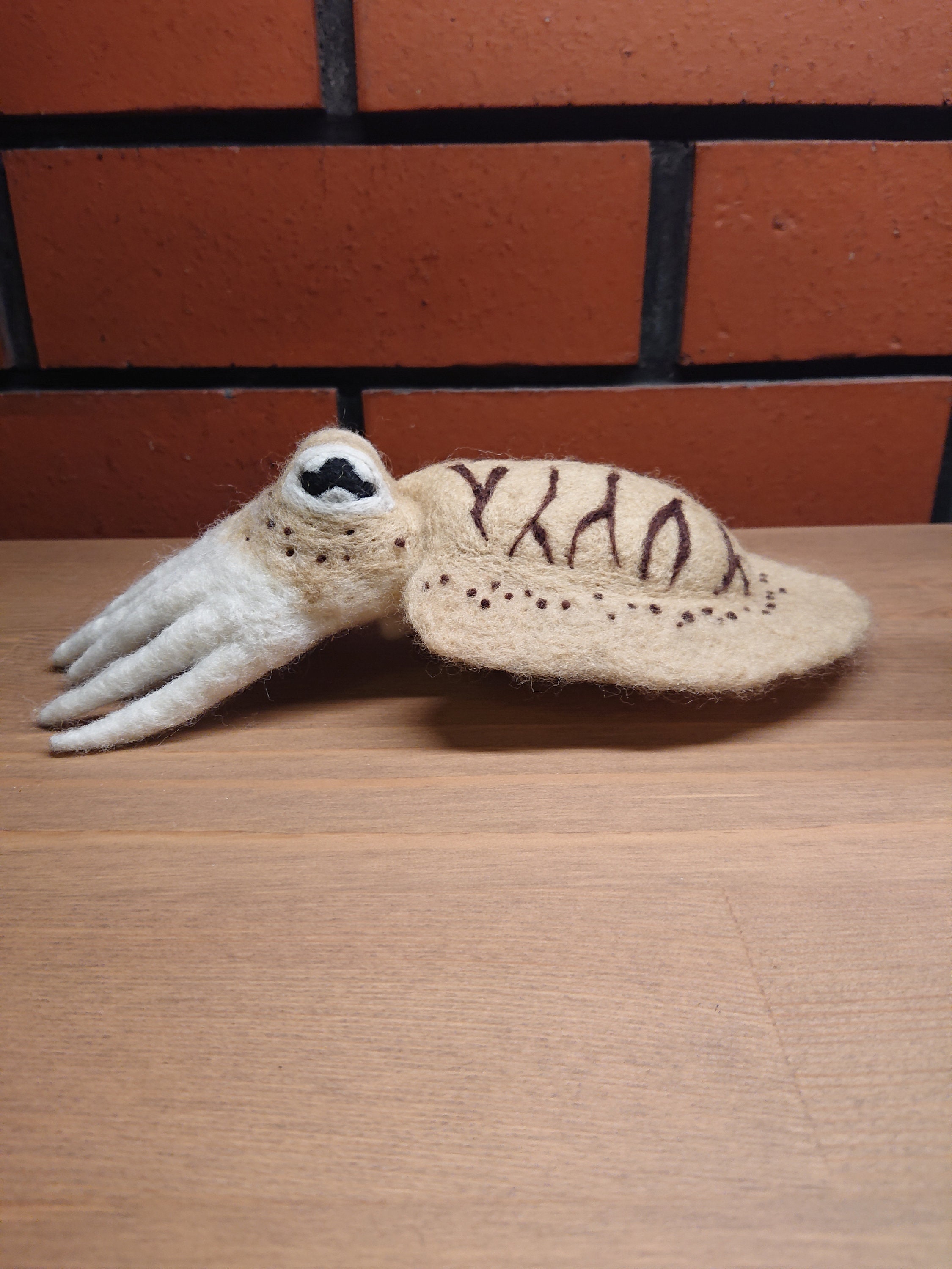 Felted Wool Cuttlefish - Etsy