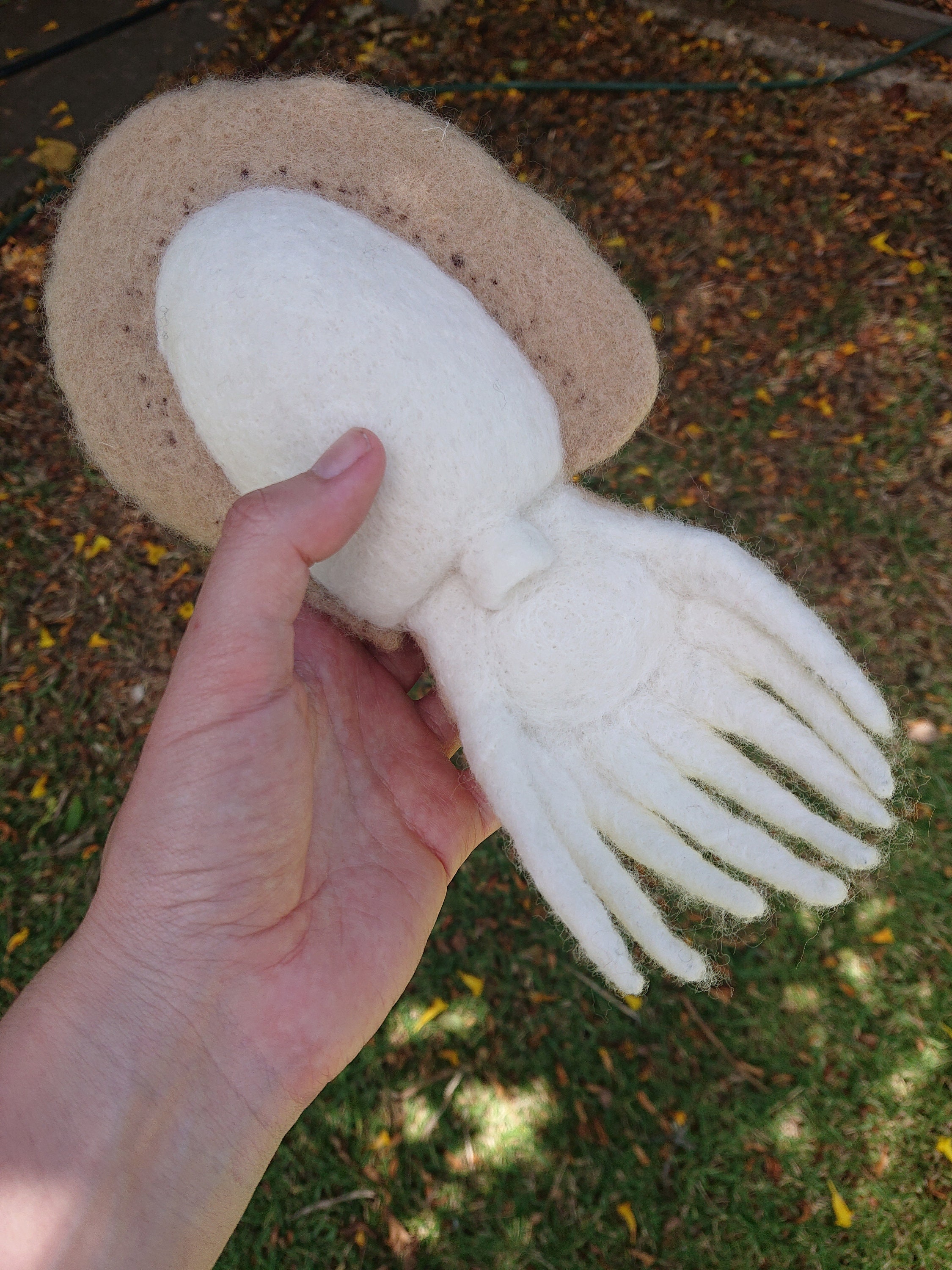 Felted Wool Cuttlefish - Etsy