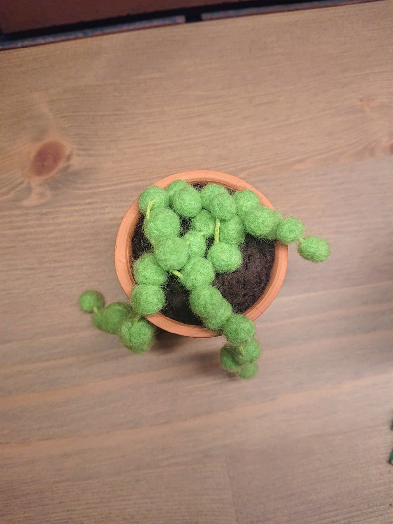 Needle Felted Succulent in Pot String of Pearls - Etsy