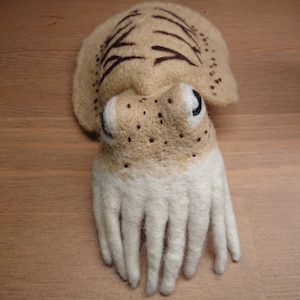 Felted Wool Cuttlefish - Etsy