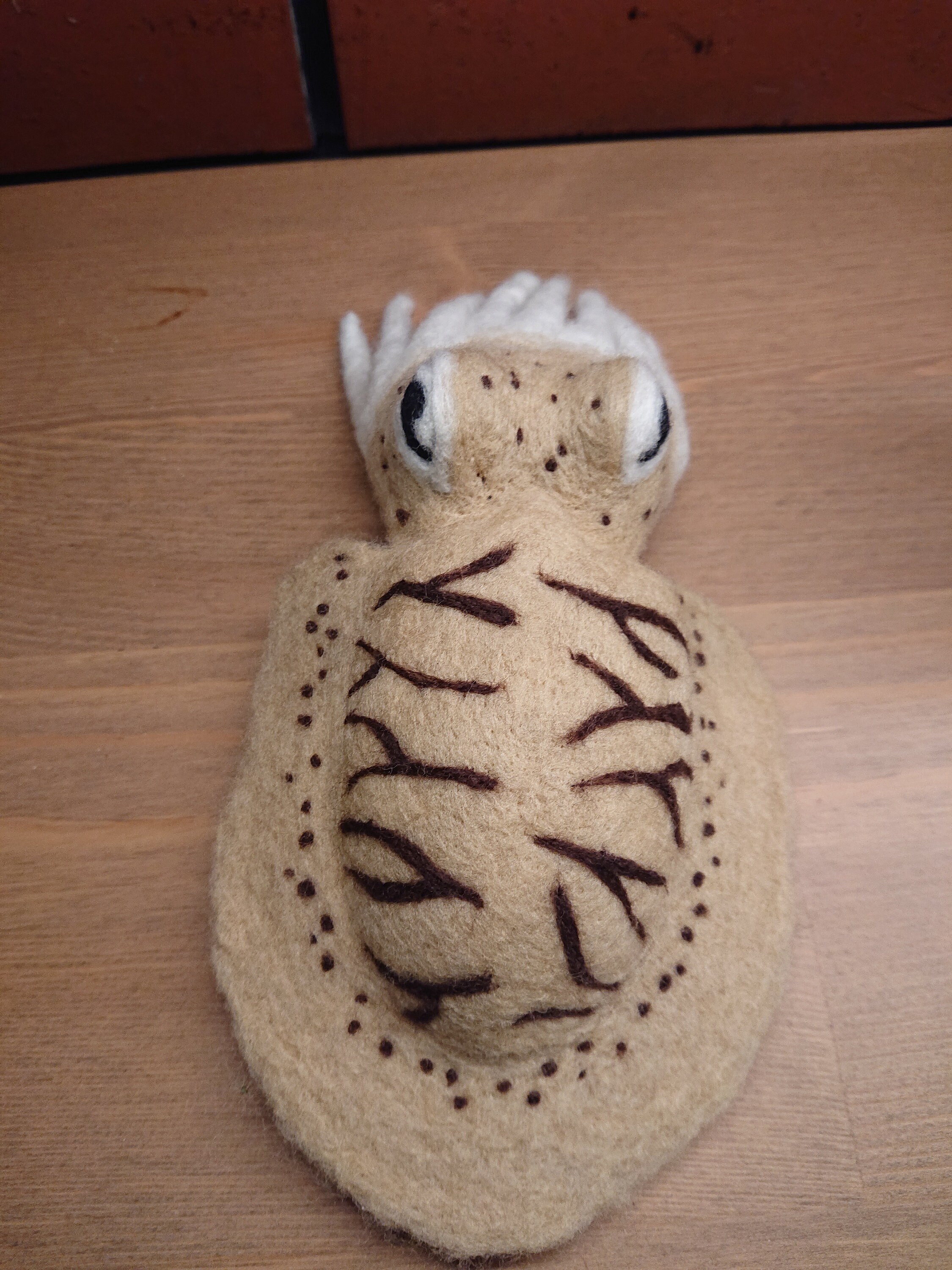 Felted Wool Cuttlefish - Etsy