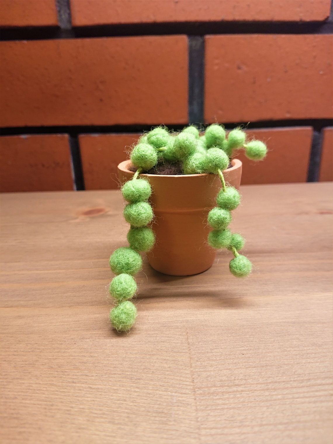 Needle Felted Succulent in Pot String of Pearls - Etsy
