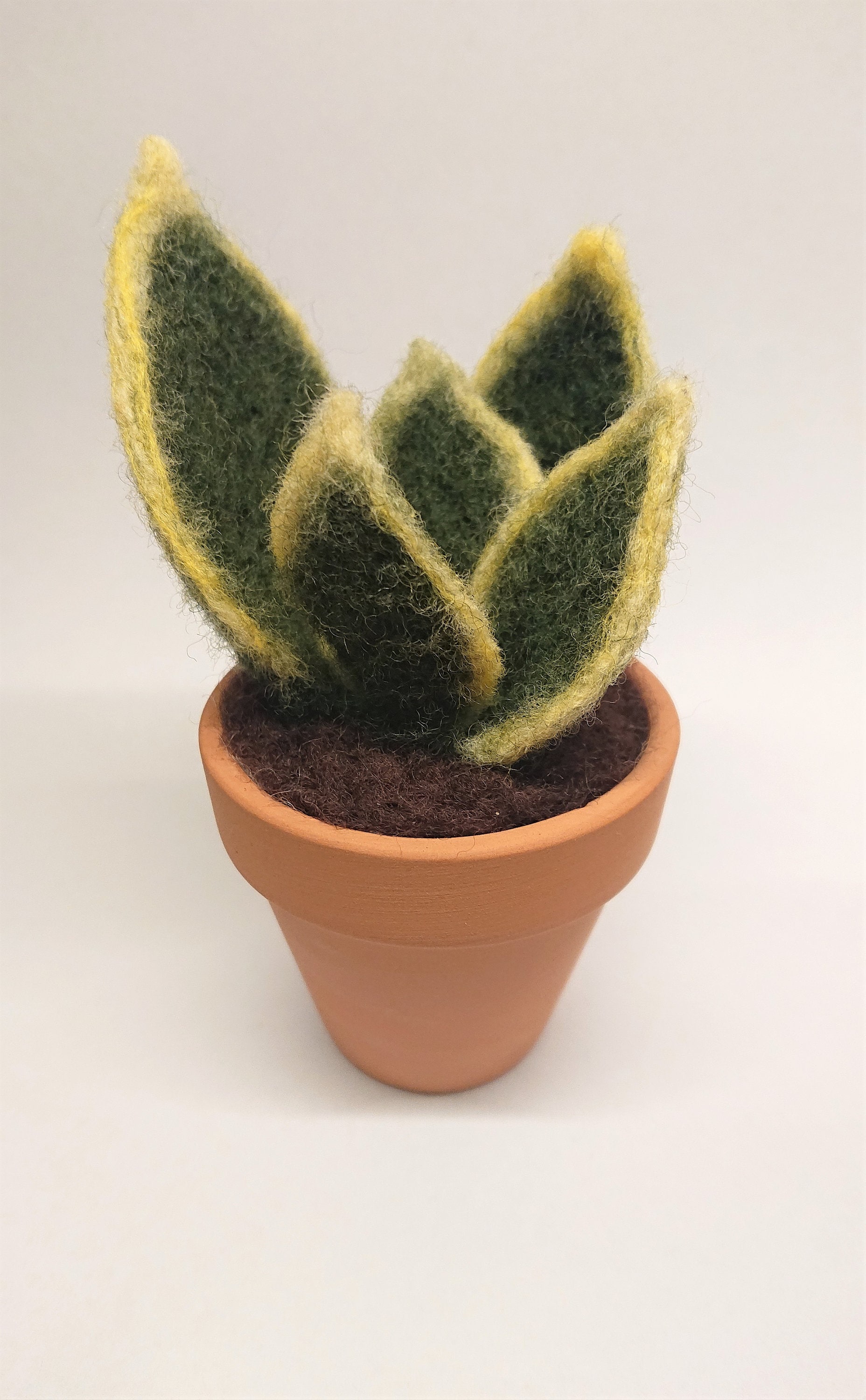 Needle Felted Succulent in Pot Dwarf Snake Plant, Sansevieria, Mother ...