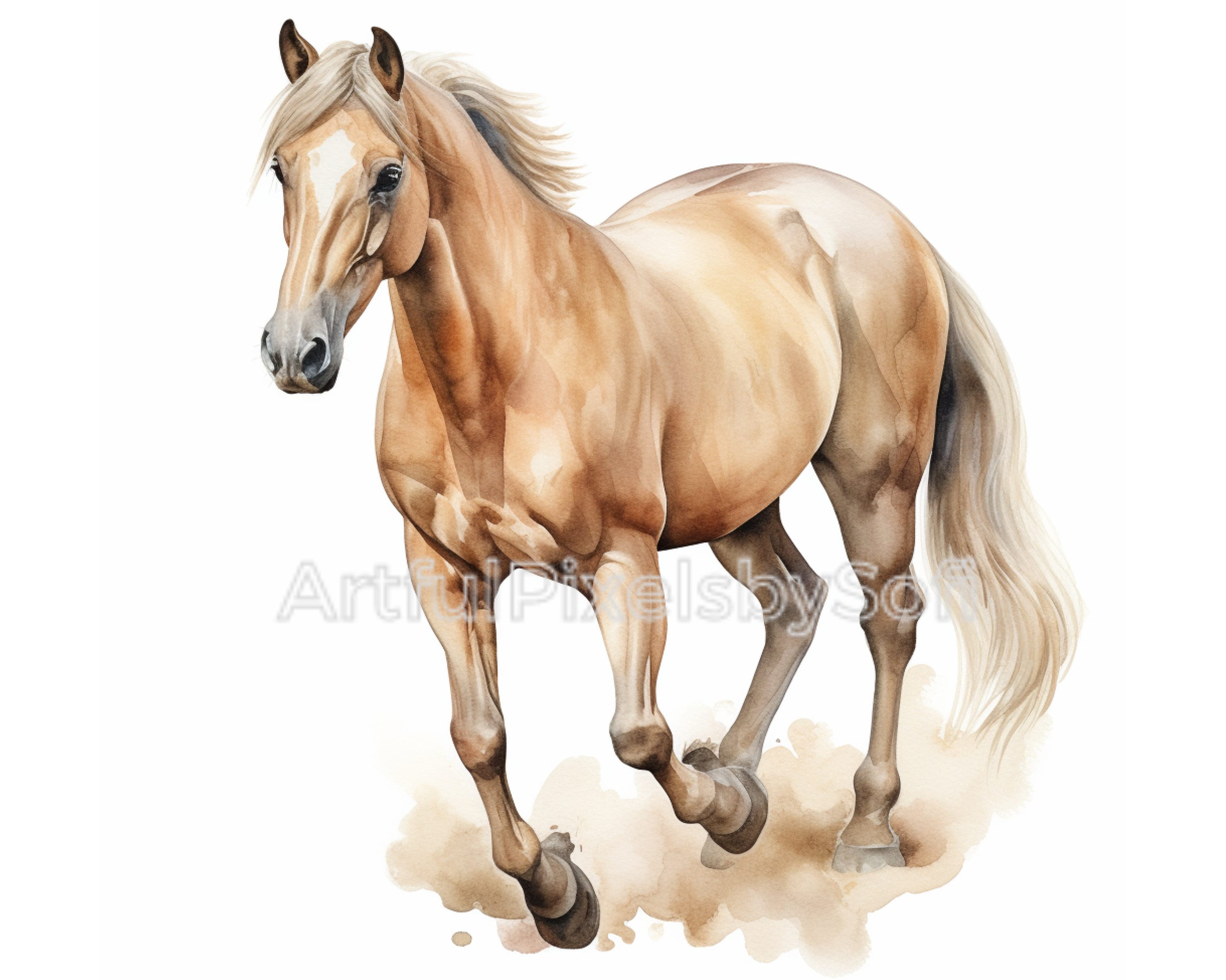 ARABIAN Horse Clipart 12 Designs 406 DPI Printableno - Etsy