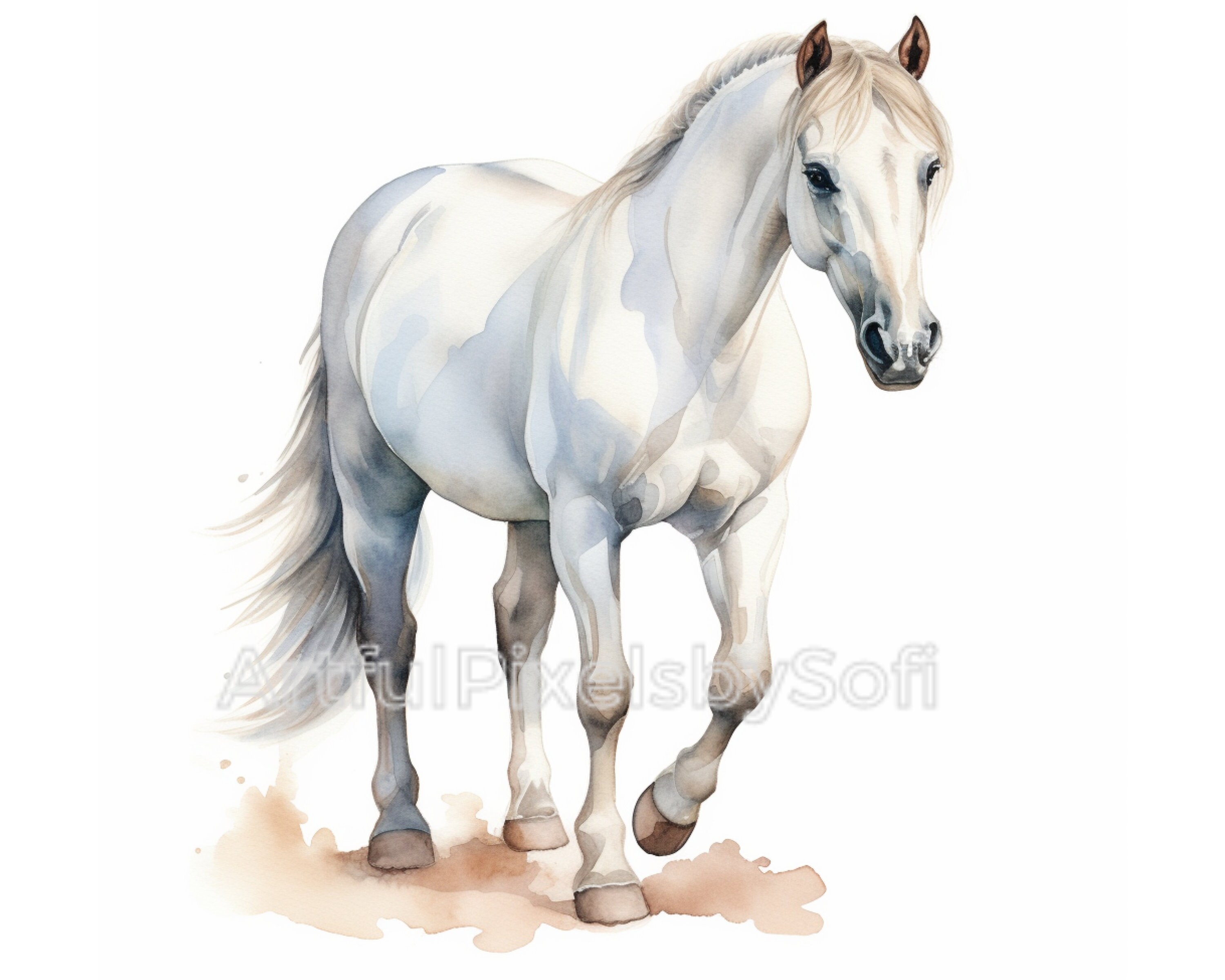 ARABIAN Horse Clipart, 12 Designs, 406 DPI, Printable,no Background ...