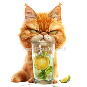7 Limonade Funny Grumpy Cat Clipart, 7 Designs, 406 DPI, Printable,no ...