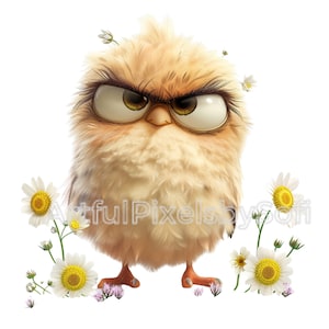 7 Grumpy Spring Bird Clipart, 7 Designs, 406 DPI, Printable,no ...