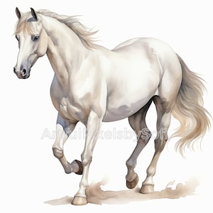 ARABIAN Horse Clipart, 12 Designs, 406 DPI, Printable,no Background ...