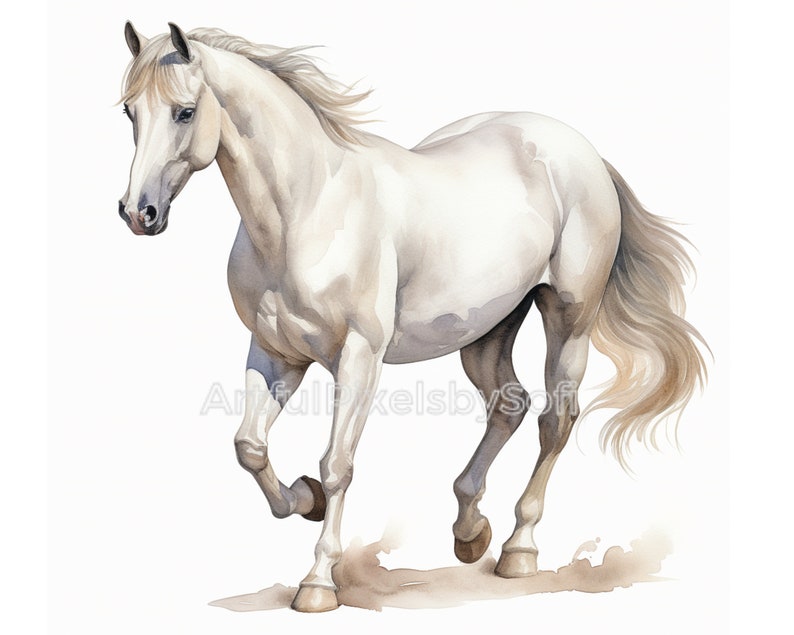 ARABIAN Horse Clipart, 12 Designs, 406 DPI, Printable,no Background ...