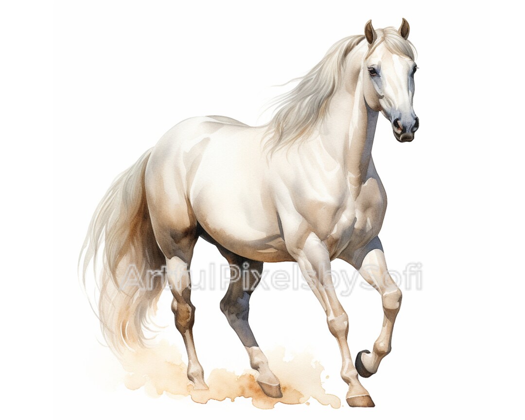 ARABIAN Horse Clipart, 12 Designs, 406 DPI, Printable,no Background ...